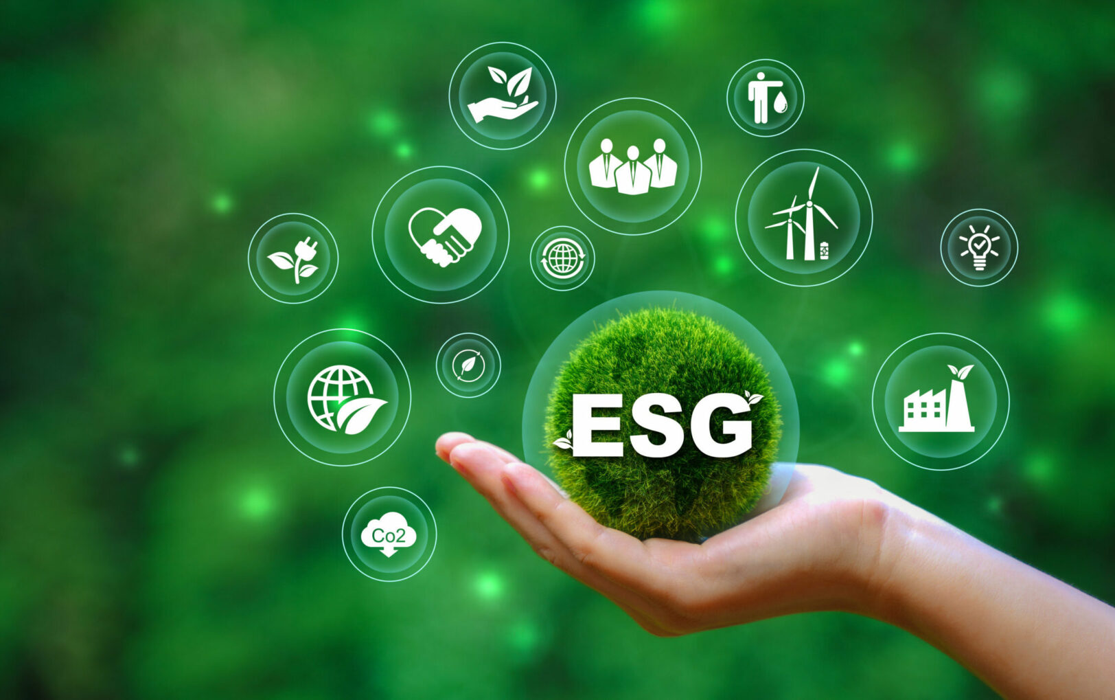 Putting ESG at the heart of education - NZB Blog